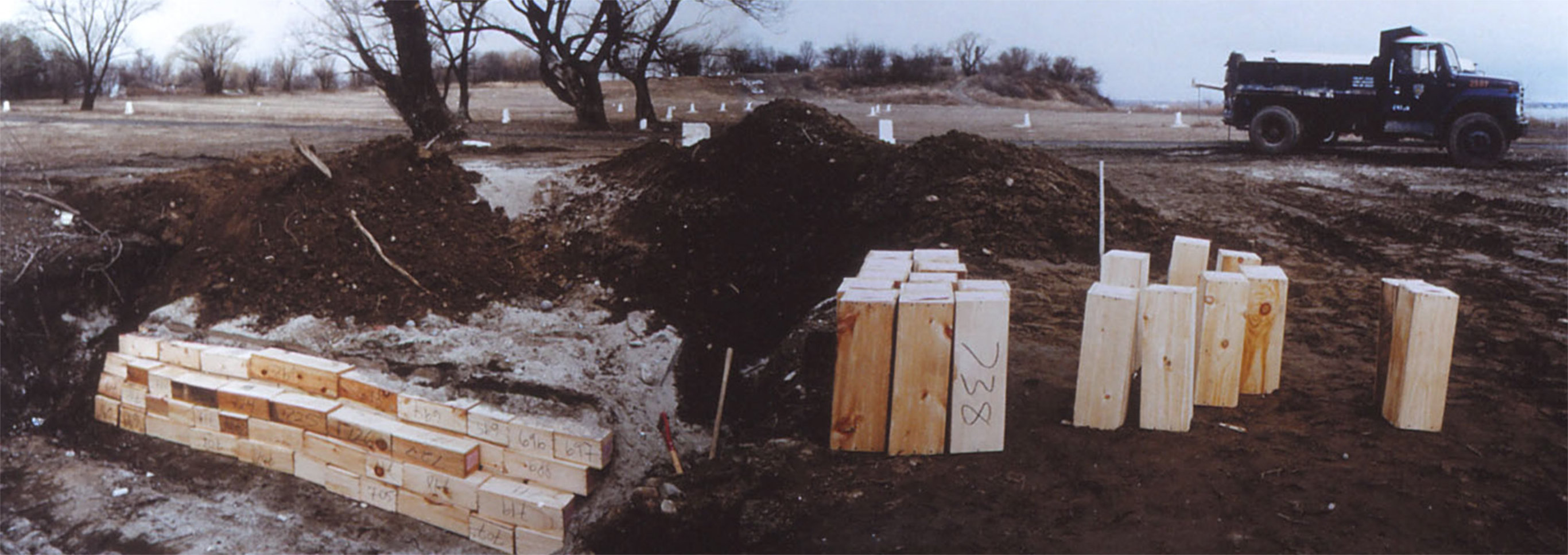 History | The Hart Island Project