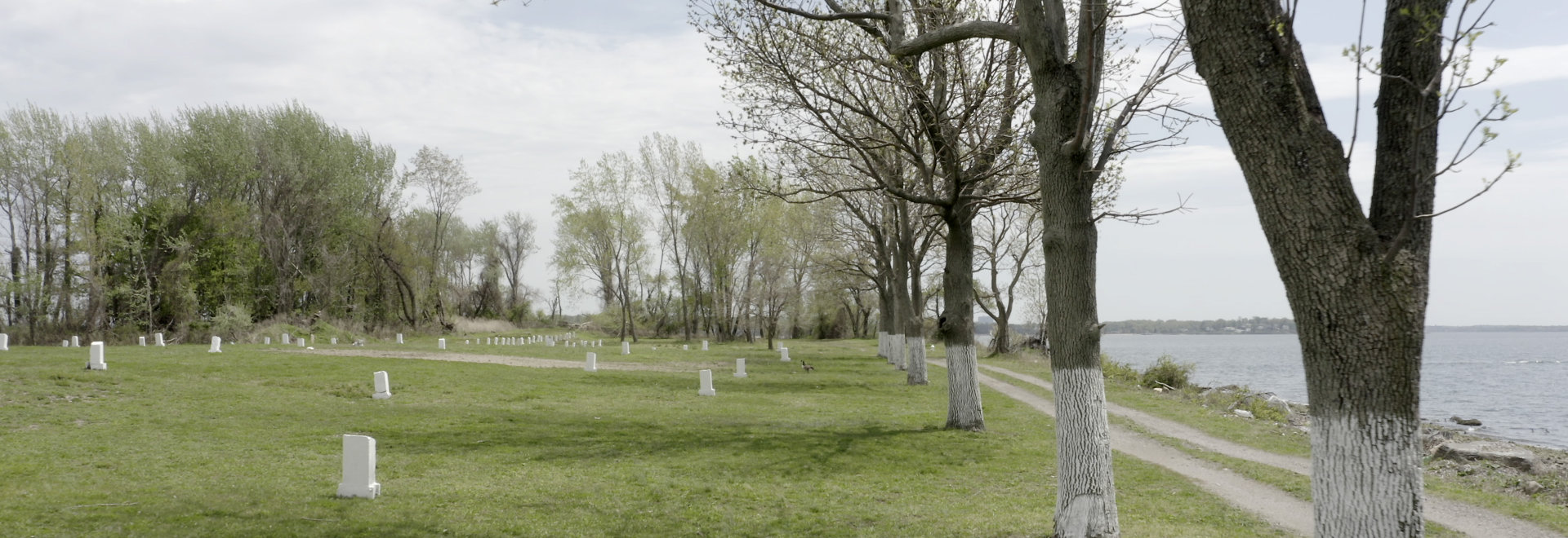 Mission | The Hart Island Project