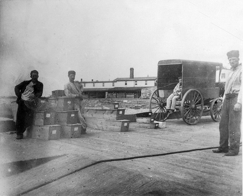 History | The Hart Island Project