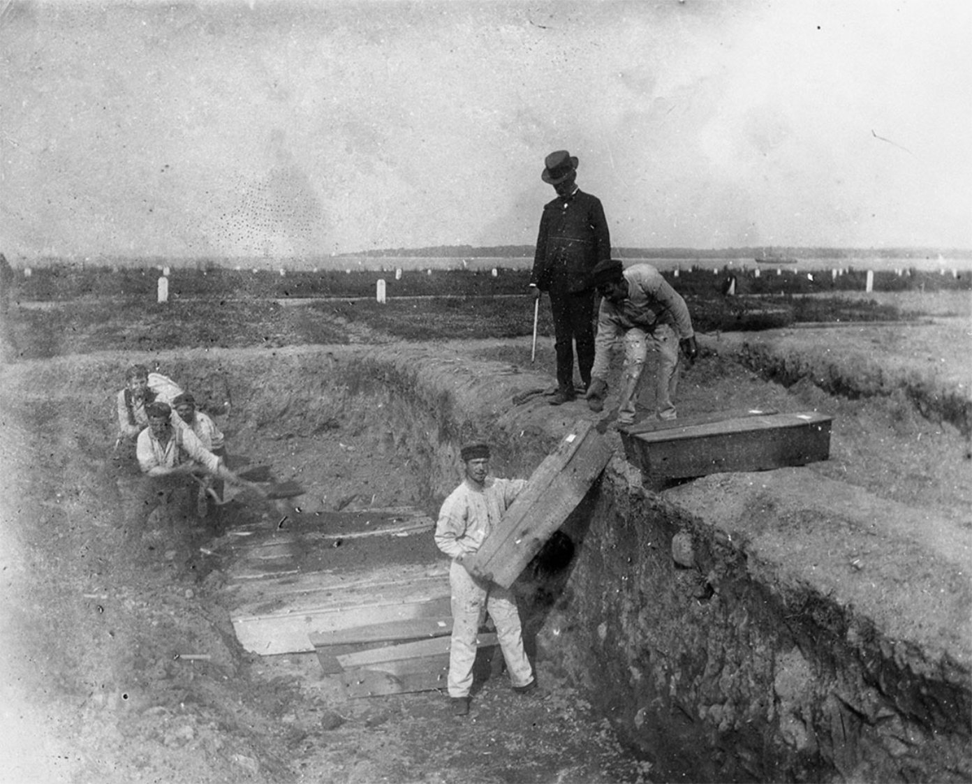 History | The Hart Island Project